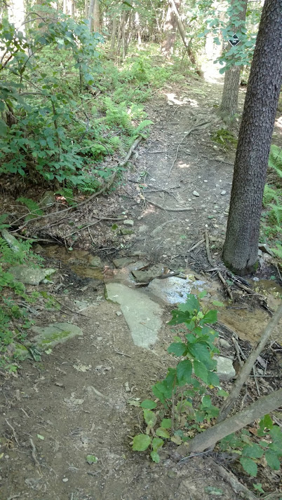 Boulder Line Mountain Biking Trail - Seven Springs, PA