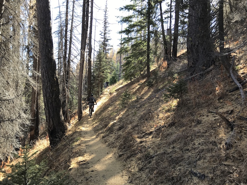 Naneum Wilson Trail 1371 Multi Trail - Ellensburg, WA