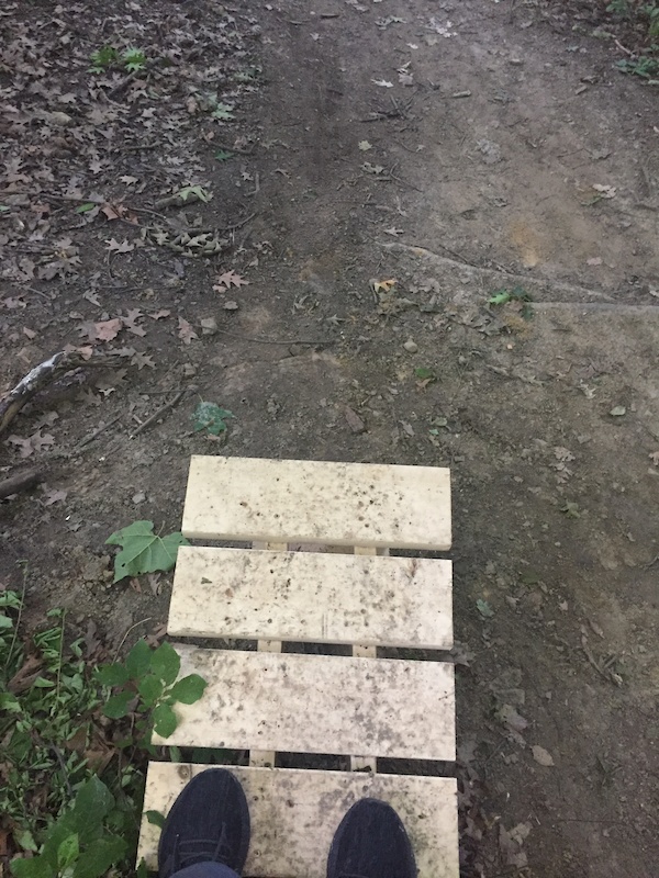 Lakeview Doubletrack Mountain Biking Trail - Westland