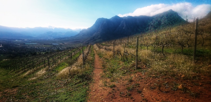 Banhoek Conservancy - Skyfall loop -Mike Version Mountain Biking Route ...