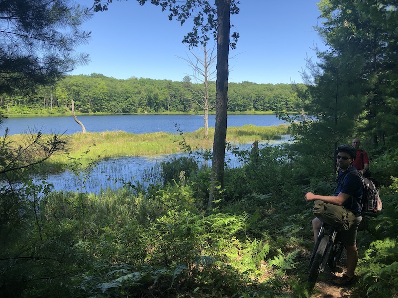 NCT - Timber Creek Section (NCT M-10 to 5 Mile Road) Multi Trail - Manistee