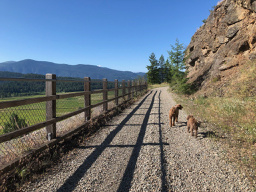 at Trans Canada Trail in Grand Forks, British Columbia, Canada - photo ...