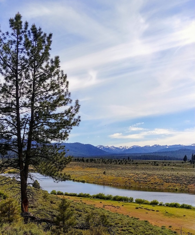Martis Creek Lake Trail Multi Trail - Truckee, CA