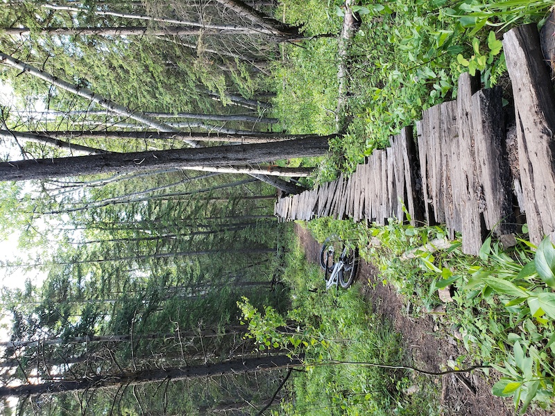 Upper Prospector Mountain Biking Trail - Exshaw, Alberta