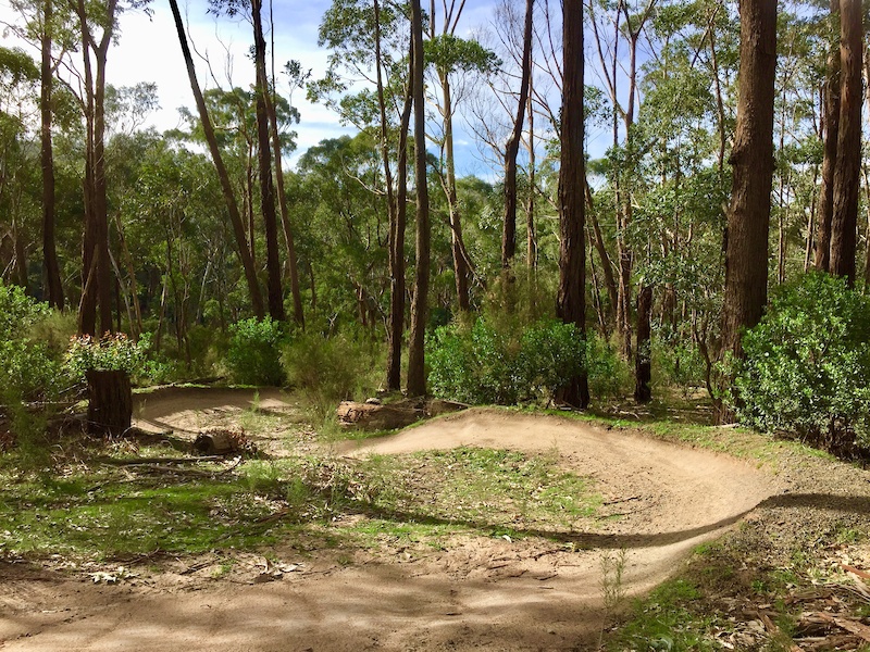 Lysterfield Temp Loop Early 2023 Mountain Biking Route | Trailforks