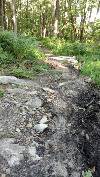 Spruce Run Multi Trail - Ligonier, Pennsylvania