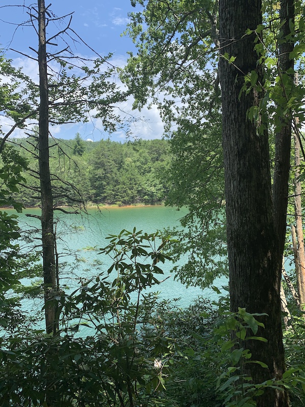 Tsali Recreation Area Mountain Biking Trails | Trailforks