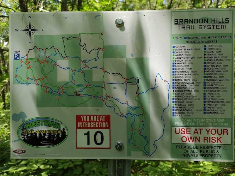 Brandon Hills Tasty Mountain Biking Route | Trailforks
