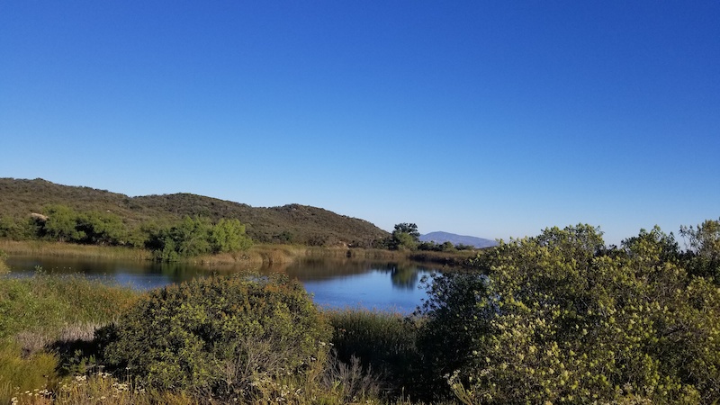 Daley Ranch 11 Mi Moderate Mountain Biking Route | Trailforks
