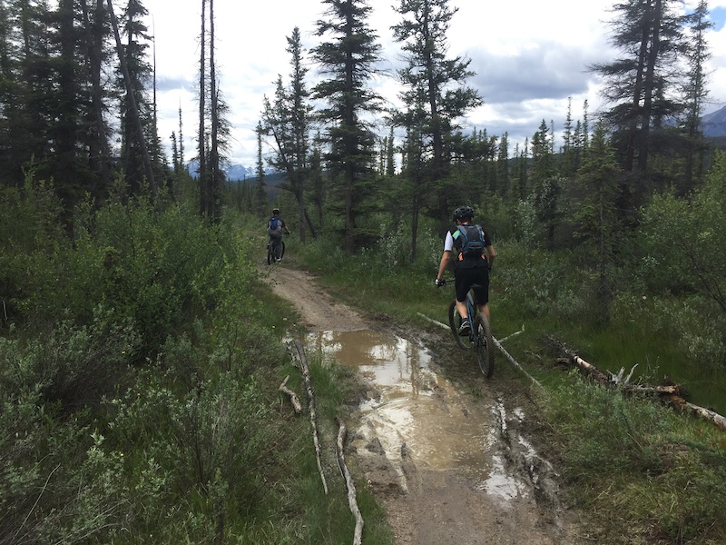 Overlander (6th Bridge to Moberly Cabin) Multi Trail - Jasper