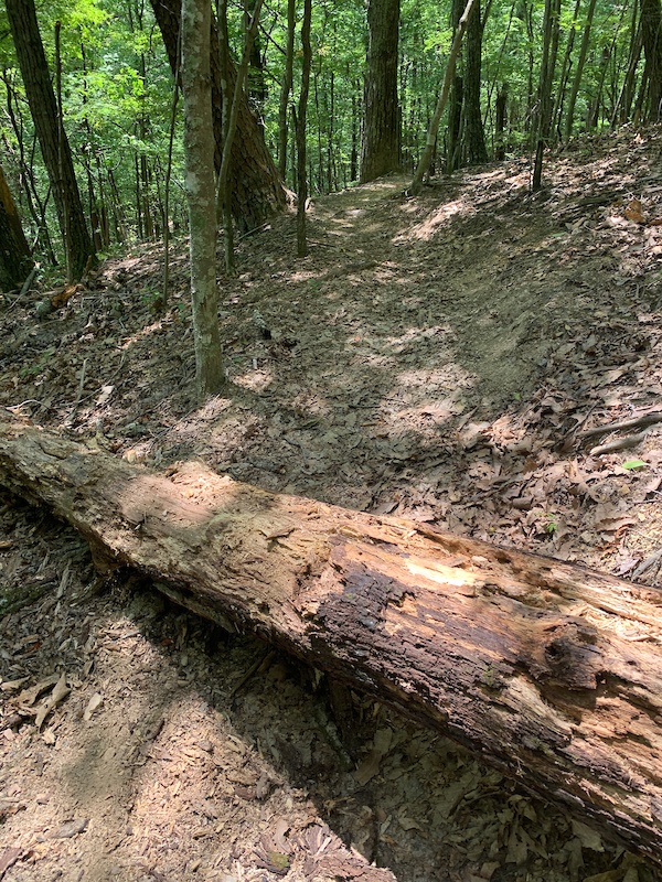 Woodbush Forest, Haenertsburg Mountain Biking Trails | Trailforks
