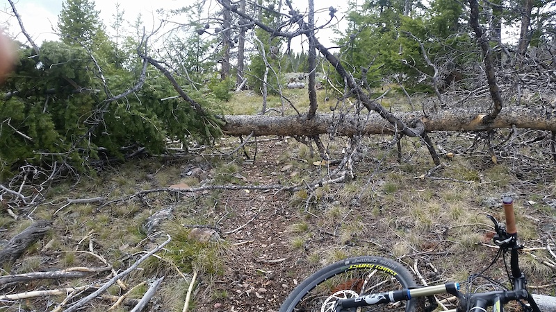 CDT (Bannock Pass-Grizzly Hill) Mountain Biking Trail - Leadore