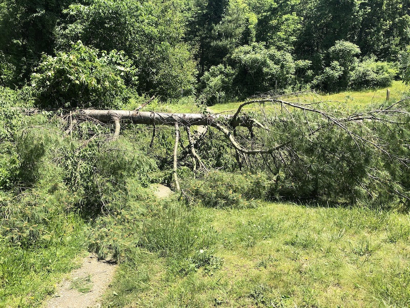 Crockett Farm Multi Trail - Stratham, New Hampshire