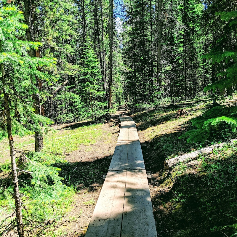 Upper Flume Trail Mountain Biking Trail - Breckenridge, CO
