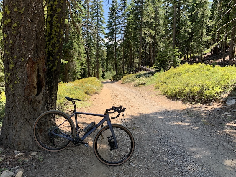 Mount Watson Access Road Multi Trail - Tahoe City, CA
