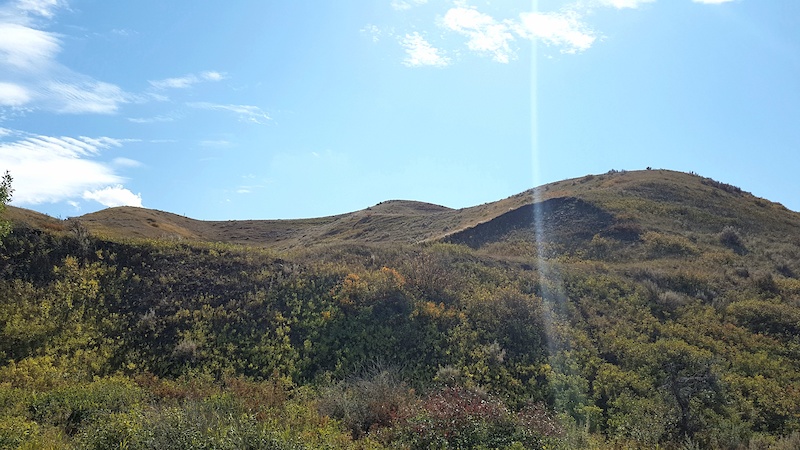 Pavan Horse Trail (central) Mountain Biking Trail - Lethbridge