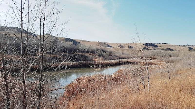 Beaver Bush Mountain Biking Trail - Lethbridge, Alberta