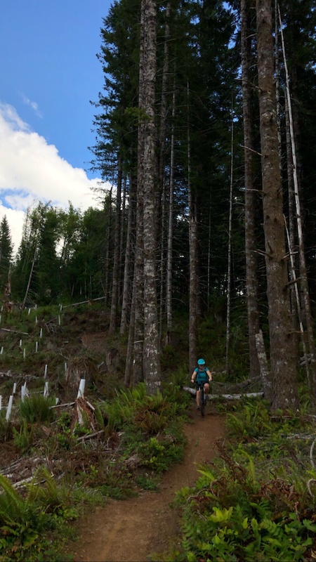 Rogers Camp Loop Multi Trail - Tillamook, Oregon