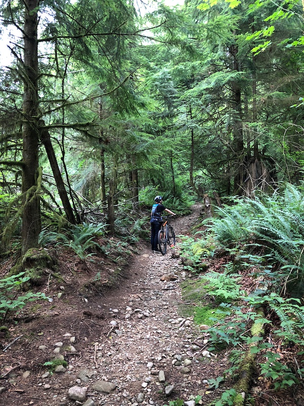 Horse Trails Horseback Trail - Maple Ridge, BC