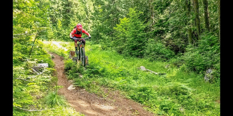 Lower Basin Trails, Sandpoint Mountain Biking Trails | Trailforks