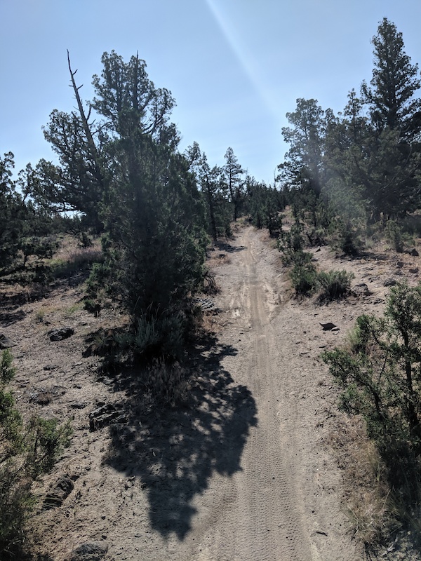 Maston Big Loop Mountain Biking Route | Trailforks