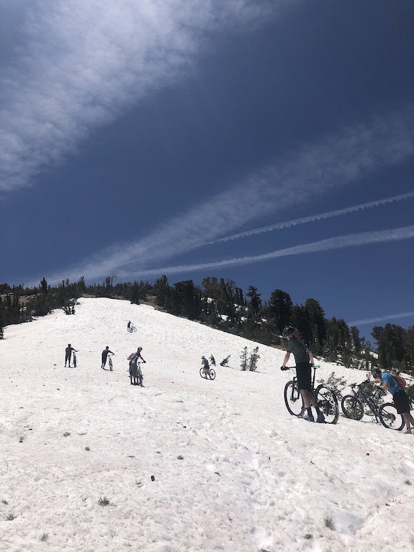 TRT: Kingsbury Grade to Big Meadow Mountain Biking Route | Trailforks