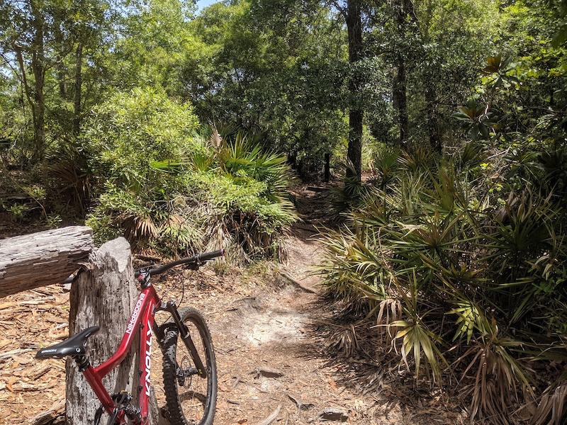 Gulf Island National Sea Shore, Ocean Springs Mountain Biking Trails ...