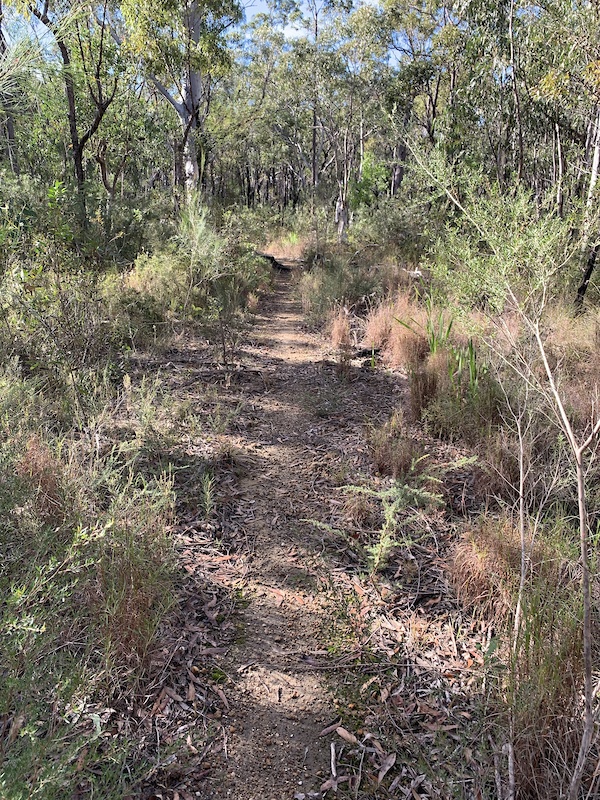 Ol tip trail Multi Trail - Northy Mtb Trails, Nowra