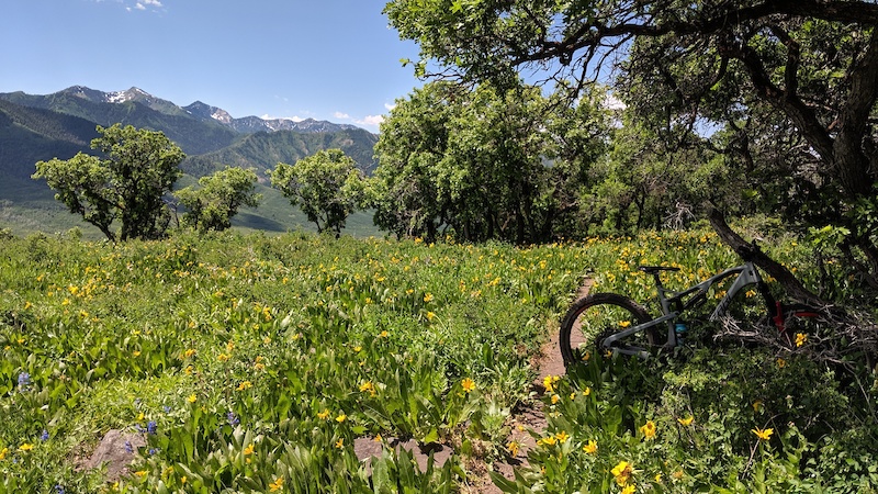 Sheep Trail (GWT) Multi Trail - Salt Lake City, Utah