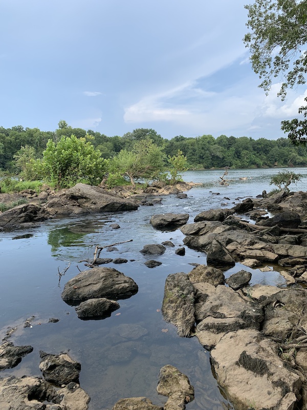 Midlands Region (SC) Mountain Biking Trails | Trailforks