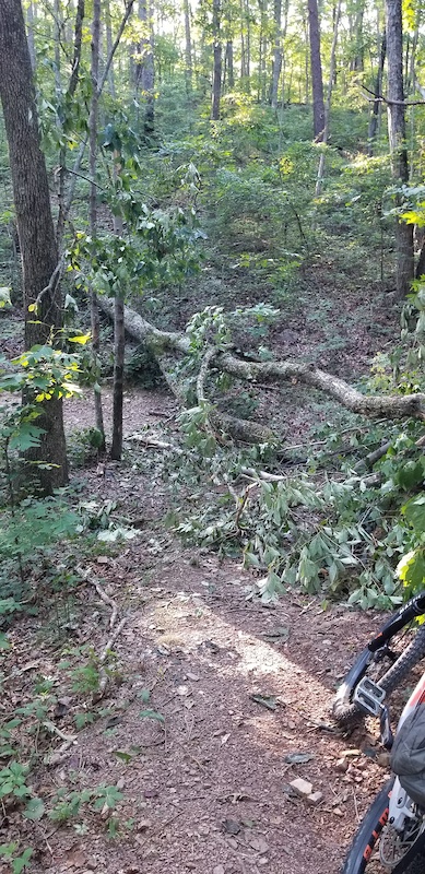 Bobcat Mountain Biking Trail - Collegedale, Tennessee
