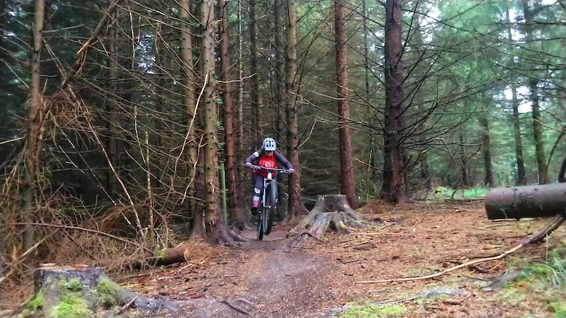 Doug's Trail Mountain Biking Trail - Dunkeld