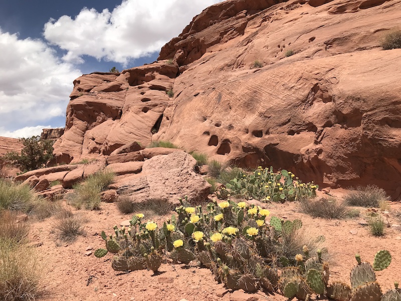 Poison Spider Multi Trail - Mag 7, Moab, Utah
