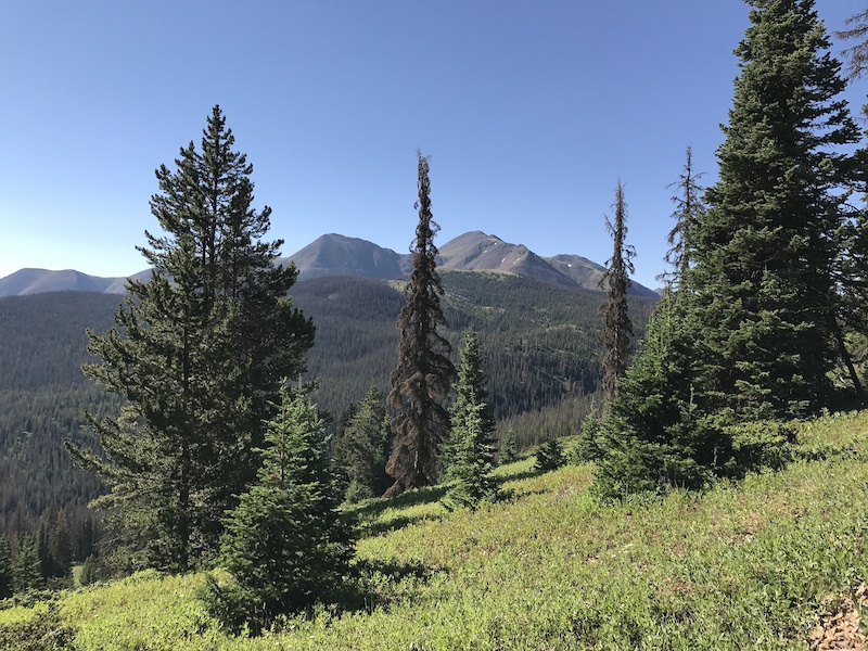 CT - Marshall Pass Mountain Biking Trail - Salida, CO