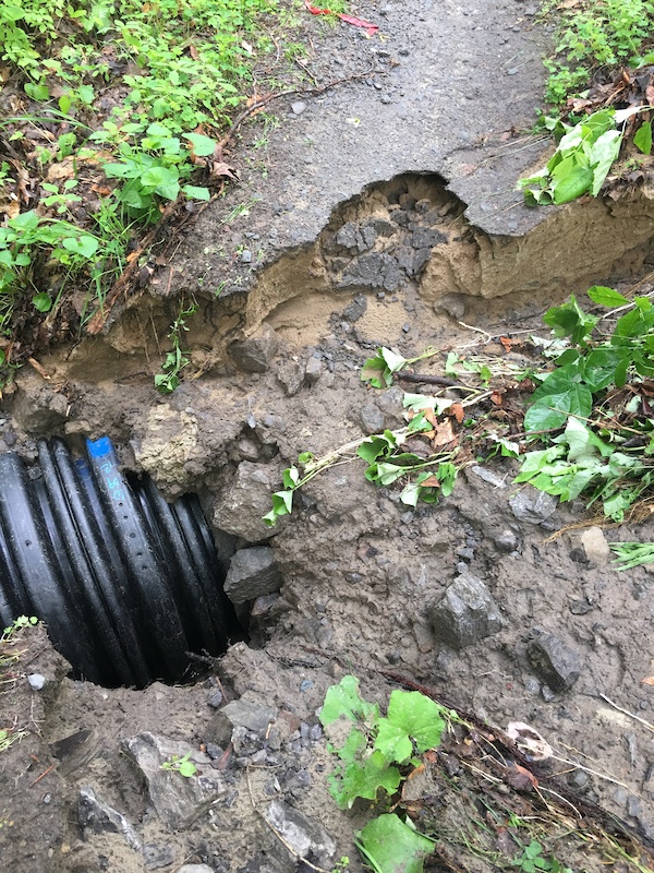 Tronçon expert Multi Trail - Terrebonne, QC