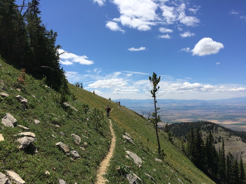 Bridger Crown Mountain Biking Route | Trailforks