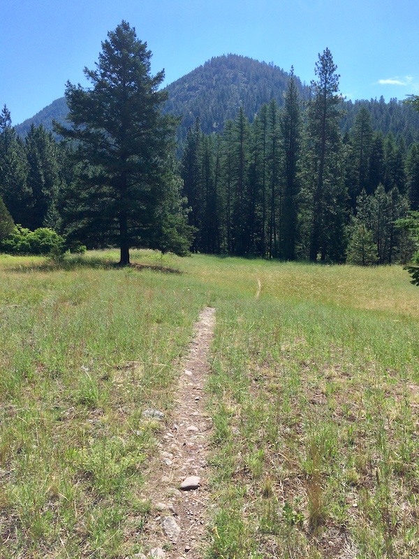 Poe Meadow Loop Multi Trail - Missoula, Montana