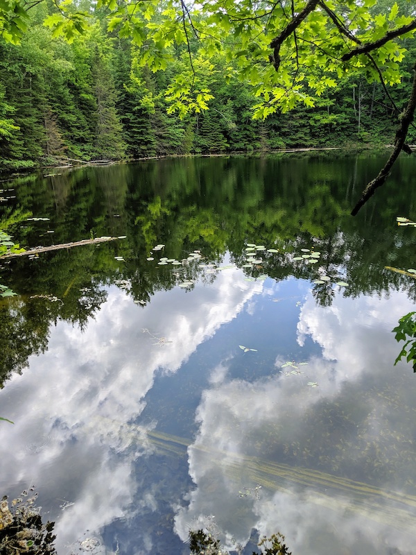 Shingle Mill Pathway Mountain Biking Trails | Trailforks