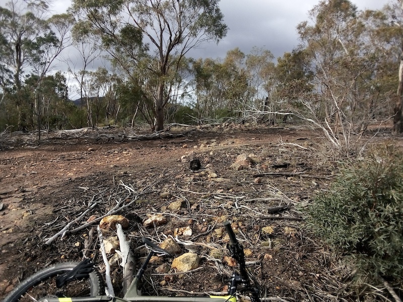 Shag Ridge Descent Mountain Biking Trail - Hobart