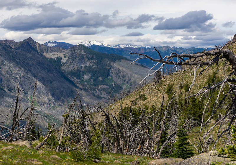 Icicle Ridge Trail Multi Trail - Leavenworth, Washington