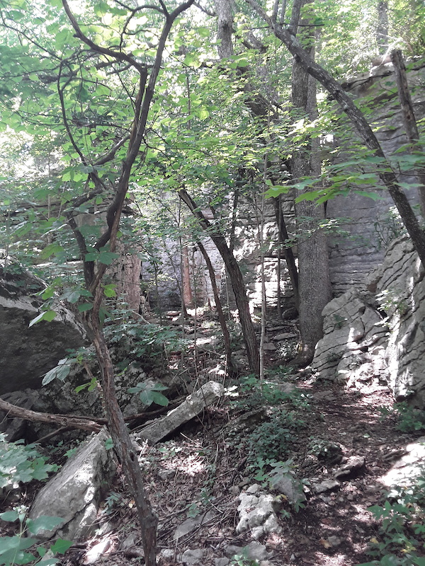 Arrowhead Trail Multi Trail - Huntsville, Alabama