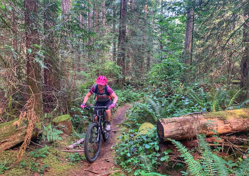Log Ride Mountain Biking Trail - Powell River, BC