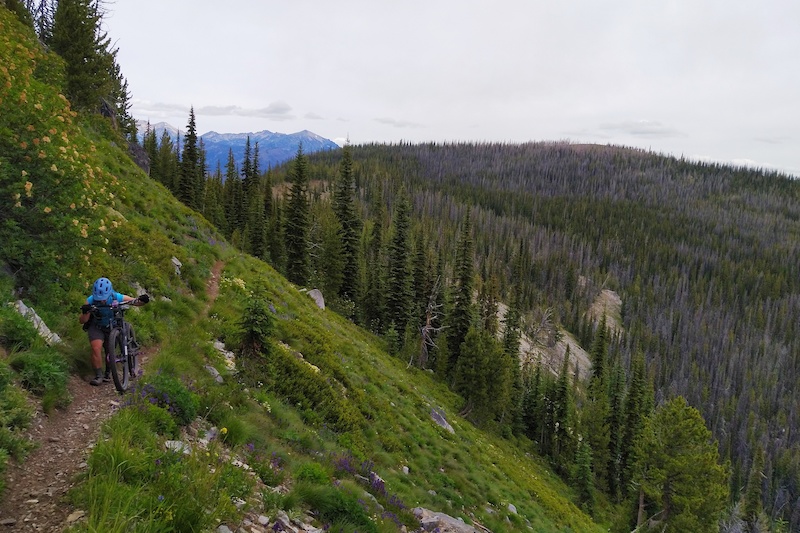 Lake Wenatchee Road Biking Trails | Trailforks