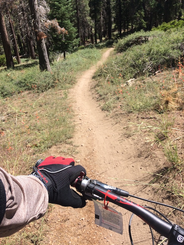 Pirates Mountain Biking Trail - Big Bear, California