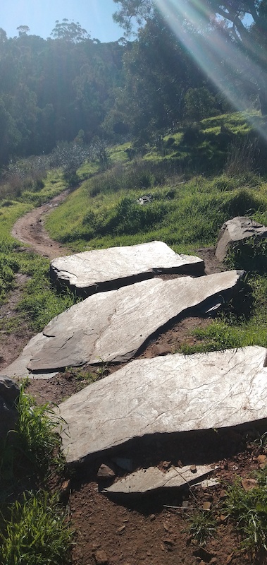 Craigburn Farm 4HR 2019 Mountain Biking Route | Trailforks