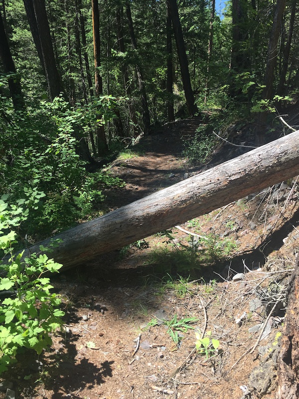 Flume Multi Trail - Kimberley, British Columbia