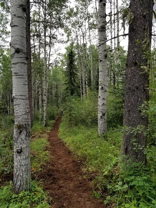 Austin's Dream Mountain Biking Trail - Edson, Alberta