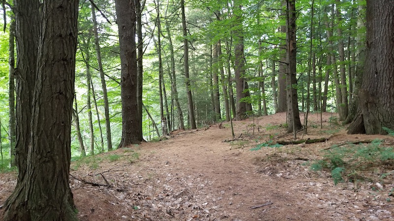 Bluebird Trail West Mountain Biking Trail - Cumberland