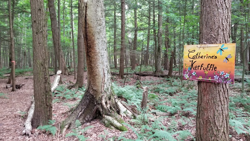 Bluebird Trail East - Yellow Mountain Biking Trail - Cumberland