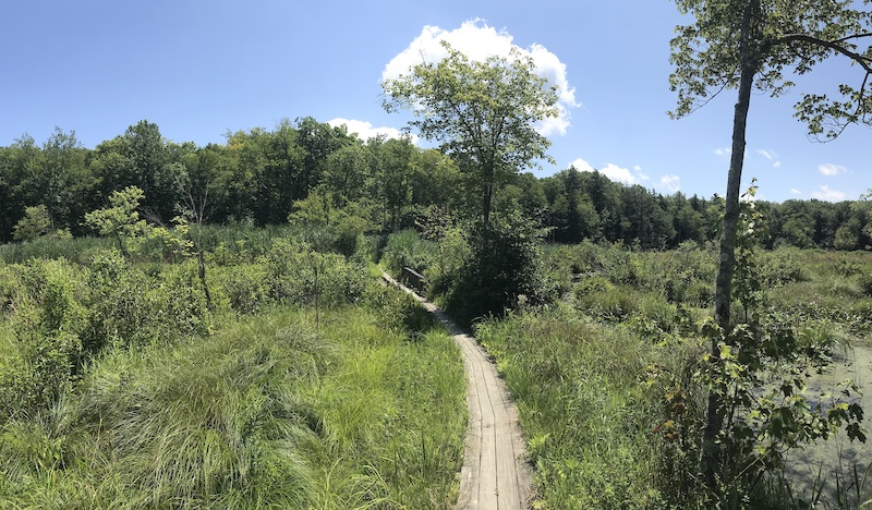 Double Pond Multi Trail - Vernon, New Jersey